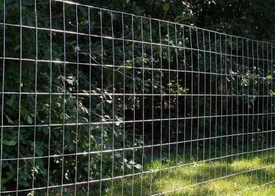 China Galvanized Welded Wire Fencing Roll 2x4 Inch Mesh 0.25-0.38 Wire Diameter 0.9-30m Length for sale