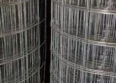 China 12G 21G Welded Wire Mesh Roll 10m 30m PVC Coated High Strength Anti Corrosion for sale