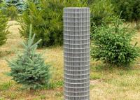 China PVC Coated Galvanized Welded Wire Mesh Panels 1/4 to 4 Inch Mesh for Fencing for sale