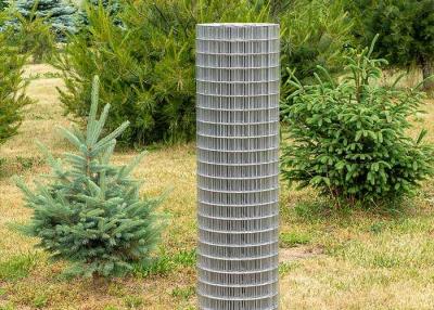 China PVC Coated Galvanized Welded Wire Mesh Panels 1/4 to 4 Inch Mesh for Fencing for sale