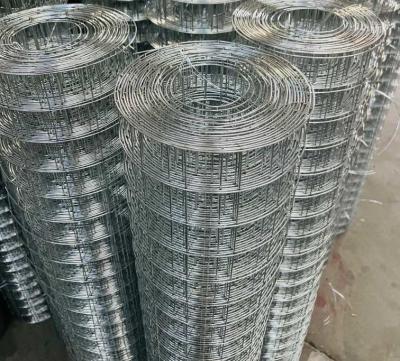 China Galvanized Welded Wire Mesh Roll 0.5mm-5mm Gauge 5-50m Length Customizable for sale