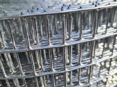China Galvanized Welded Wire Mesh 2.5-25cm Mesh Size 1mm-10mm Wire Diameter Custom Length for sale