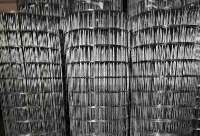 China PVC Coated Welded Wire Mesh Roll 12G 21G 10m 30m for Gridwall Panels for sale