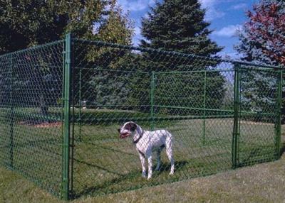 China Galvanized Chain Link Dog Kennel 6x10x5 ft Portable Removable Outdoor Pet Enclosure for sale