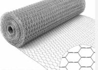 China Galvanized Hexagonal Wire Mesh 1 inch 20 Gauge for Durable Fencing for sale