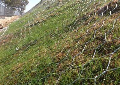 China Galvanized Hexagonal Wire Mesh 2mm 110x80mm for Slope Erosion Control and Landscaping for sale