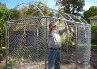 China Galvanized Chain Link Fence 50mm Mesh 9 Gauge for Greenhouse Pest Bird Protection for sale