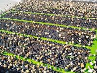 China Heavy Duty Mining Mesh Screen 1.0-6.0mm Wire Diameter 5-100mm Opening Self-Cleaning for sale