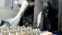China Compact Precision Robot Polishing High Speed Polishing Robotic Arm User Friendly for sale