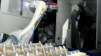China Copper Alloy Robot Grinding with Regular Maintenance Requirements and Grinding Wheel Speed 200-3000 for sale