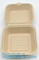 China biodegradable food tray for fruit or snack biodegradable corn starch disposable plastic food tray PLA Foamed Biodegradab for sale