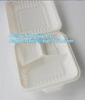 China blister packaging Packaging Tray, airline fast food trays with handle, cornstarch food trays for sale