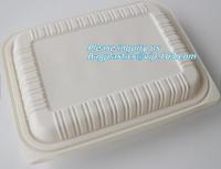China Food Serving Compartment Tray, Food Meat Packaging Tray, eco friendly vegetable tray for sale