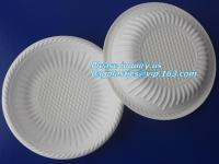 China biodegradable meat tray, disposable plate deli tray, biodegradable breakfast tray, Biodegradable Disposable Food Tray for sale