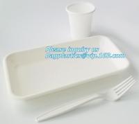 China biodegradable meat tray, disposable plate deli tray, biodegradable breakfast tray, Biodegradable Disposable Food Tray for sale