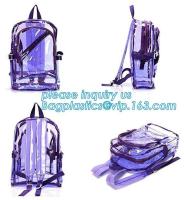 China Multi-pockets School Outdoor Clear Transparent PVC Daypack Backpack, Heavy-duty clear PVC school travel backpack with pa for sale