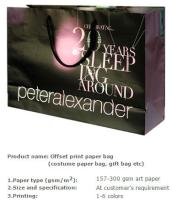 China Low cost custom made design logo print handle paper carrier bag luxury paper gift bag,Luxury Paper Package Packaging Gif for sale
