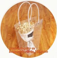 China PP plastic flower carry bags with hanging for potted plant bags,quality assurance great quality pp flower bag bagease pa for sale