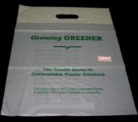China Compostable biodegradable poly plastic black gold die cut handle shopping packaging bag with custom logo PLA PBAT PACK for sale