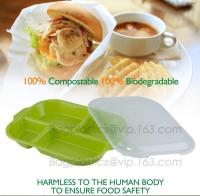 China 5 Compartment Lunch Box Disposable Plastic Food Container, biodegradable Fast Food Tray, disposable safety meat tray for sale