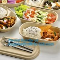 China disposable takeaway bento to go box compostable food packaging sugarcane bagasse tableware biodegradable food container for sale