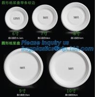 China Compostable biodegradable dinner plate corn starch plate,Elegant Disposable Corn Starch Bio Plastic Dinner Plates bagpla for sale