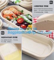 China Biodegradable Microwave Bamboo Sugarcane Bagasse Food Container,Eco friendly disposable sugarcane food container with li for sale