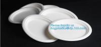 China eco sugarcane pulp disposable biodegradable plate,Factory 100% Biodegradable Disposable Sugarcane Paper Raw Material Com for sale