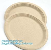 China biodegradable tableware 5 compartment sugarcane tray,100% Biodegradable Disposable Sugarcane Paper Raw Material Composta for sale