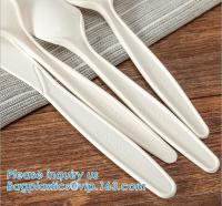 China wholesale Biodegradable cPLA plastic white cutlery set,Eco-friendly Disposable Biodegradable Corn Starch Spork-Fork Spoo for sale