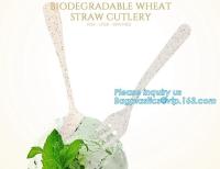 China corn starch biodegradable disposable plastic cutlery,Disposable Biodegradable Corn Starch Soup Spoon Tea Spoon bagease for sale