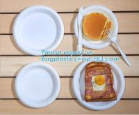 China Biodegradable Disposable Sugarcane Bagasse Party Plate,Eco-friendly sugarcane bagasse paper plate/disposable compostable for sale