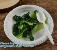 China Biodegradable Disposable Sugarcane Bagasse Party Plate,Eco-friendly sugarcane bagasse paper plate/disposable compostable for sale
