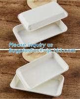 China 100% biodegradable and compostable sugarcane disposable paper plate 10