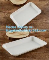 China 100% biodegradable and compostable sugarcane disposable paper plate 10