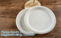 China 100% biodegradable and compostable sugarcane disposable paper plate 10