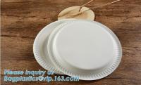 China 100% biodegradable and compostable sugarcane disposable paper plate 10