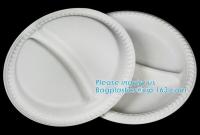 China Eco-Friendly biodegradable compostable sugarcane bagasse 7inch food plate,disposable bagasse sugarcane plate 9inch pack for sale