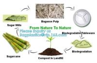 China Ecofriendly Paper Pulp Sugarcane Bagasse 10