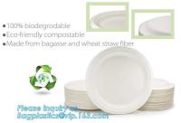 China Ecofriendly Paper Pulp Sugarcane Bagasse 10