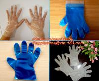 China Wholesale gloves transparent plastic glove disposable clear pe medical glove,Food grade Oil resistant Glove PE CPE Dispo for sale