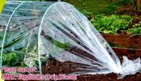 China Black film, White film, Silver film, Mulching film, Perforated Film, Agricultural Film, Greenhouse film, horticultural for sale