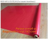 China Good quality plastic mulch/Greenhouse packaging mulch jumbo rolling agriculture black plastic film for sale