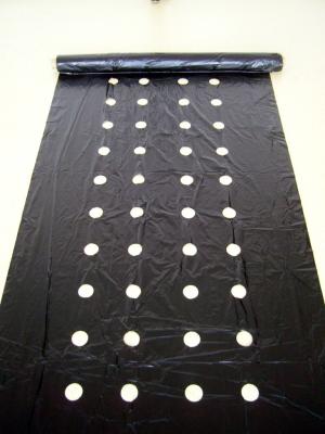 China BLACK LDPE Mulching film, pe film, horticultural mulch film, garden perforated ground film for sale