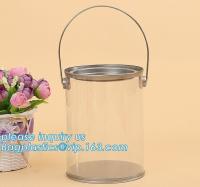 China 100ml pet clear plastic can,fruit candy tin container jars with aluminum lid,1 gallon clear paint can size bagease pack for sale
