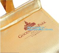 China thermal insulation food distributed delivery Bag by scooter or motorcycle,office cooler lunch bags with bottle holder for sale