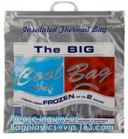 China Reusable Insulated Aluminium Foil 6 Pack Cooler Bag Lunch Bag Thermal Bag,foil ldpe food delivery thermal bag bagease for sale