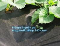 China Factory Manufacturer Wide-width Agricultual Cover Non Woven Fabric, wholesale china factory spunbond agriculture nonwove for sale