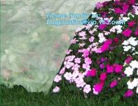 China Factory Manufacturer Wide-width Agricultual Cover Non Woven Fabric, wholesale china factory spunbond agriculture nonwove for sale