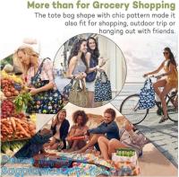 China ECO Friendly nylon grocery shopping bag, tote bag shape with chic pattern,fold up for easy storage,widened handles, boat for sale